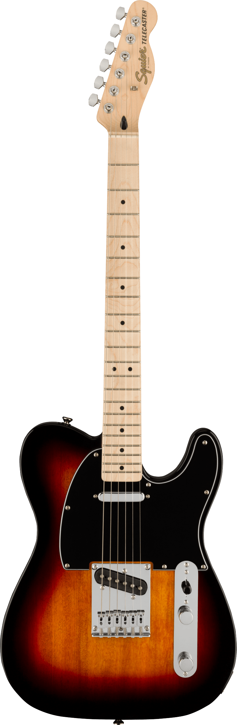 Squier Affinity Series Telecaster, Maple Fingerboard, Black Pickguard,
