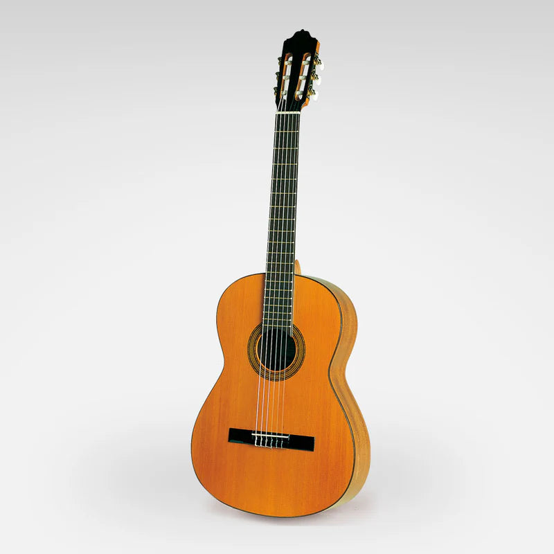 Esteve 4ST Guitar