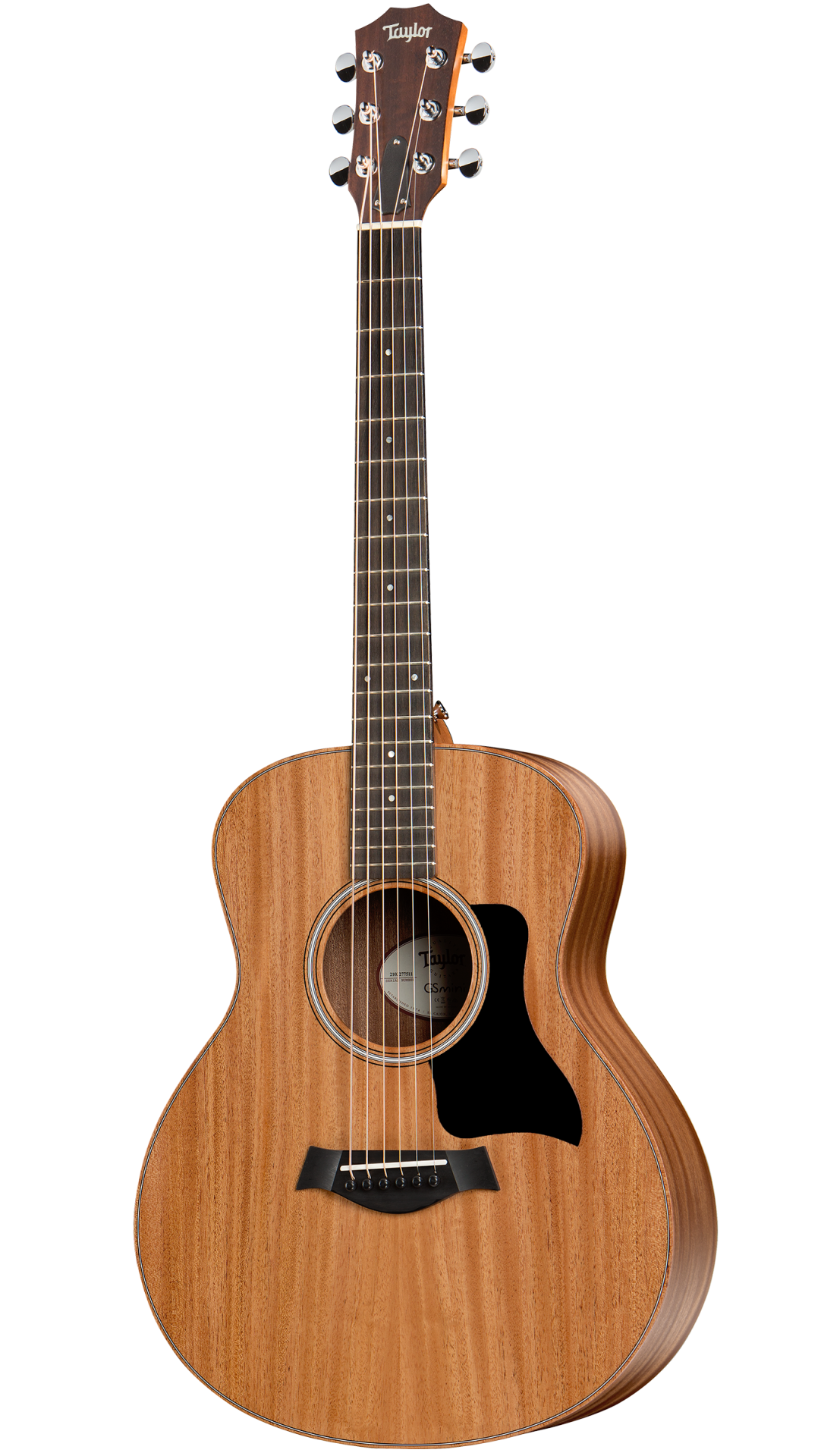 Taylor GS Mini Mahogany
